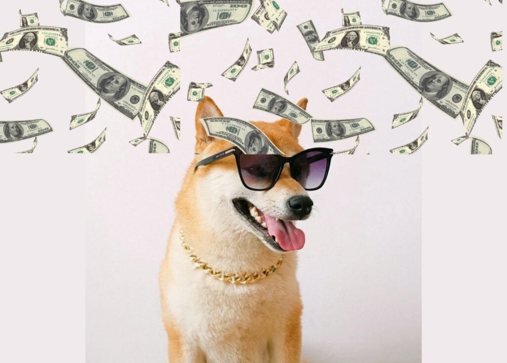 Shiba Inu explota un 56% tras el tuit de Musk, el volumen sube un 700% ...