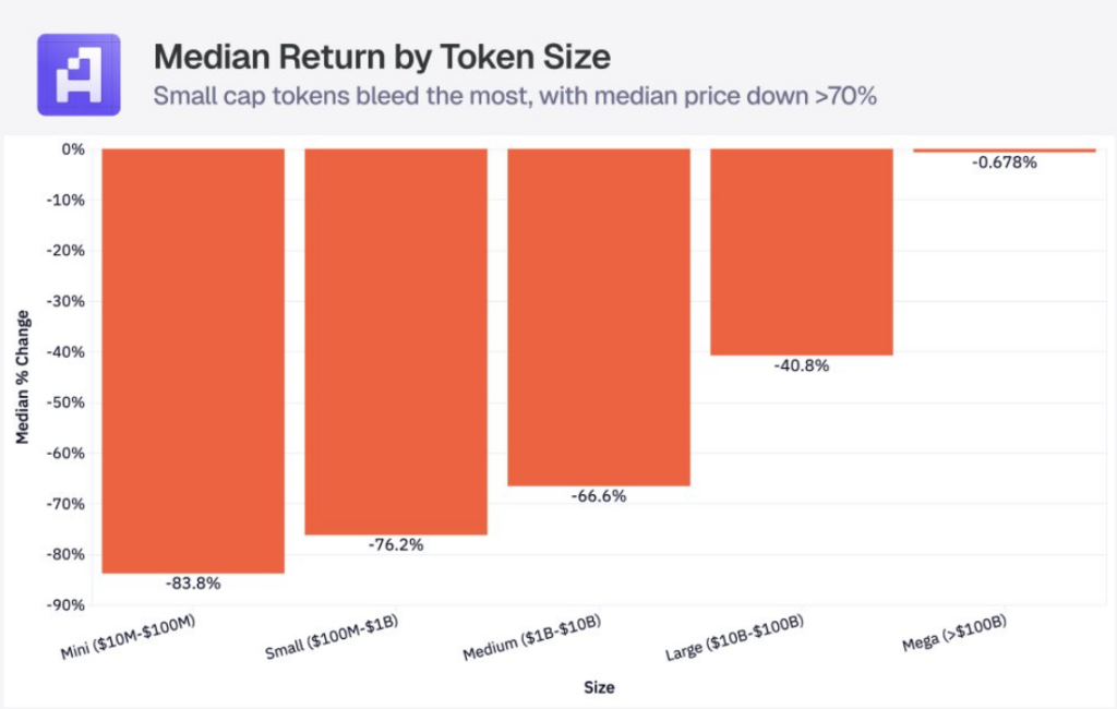 Small cap tokens marked the worst losses in 2025 - Cryptopolitan