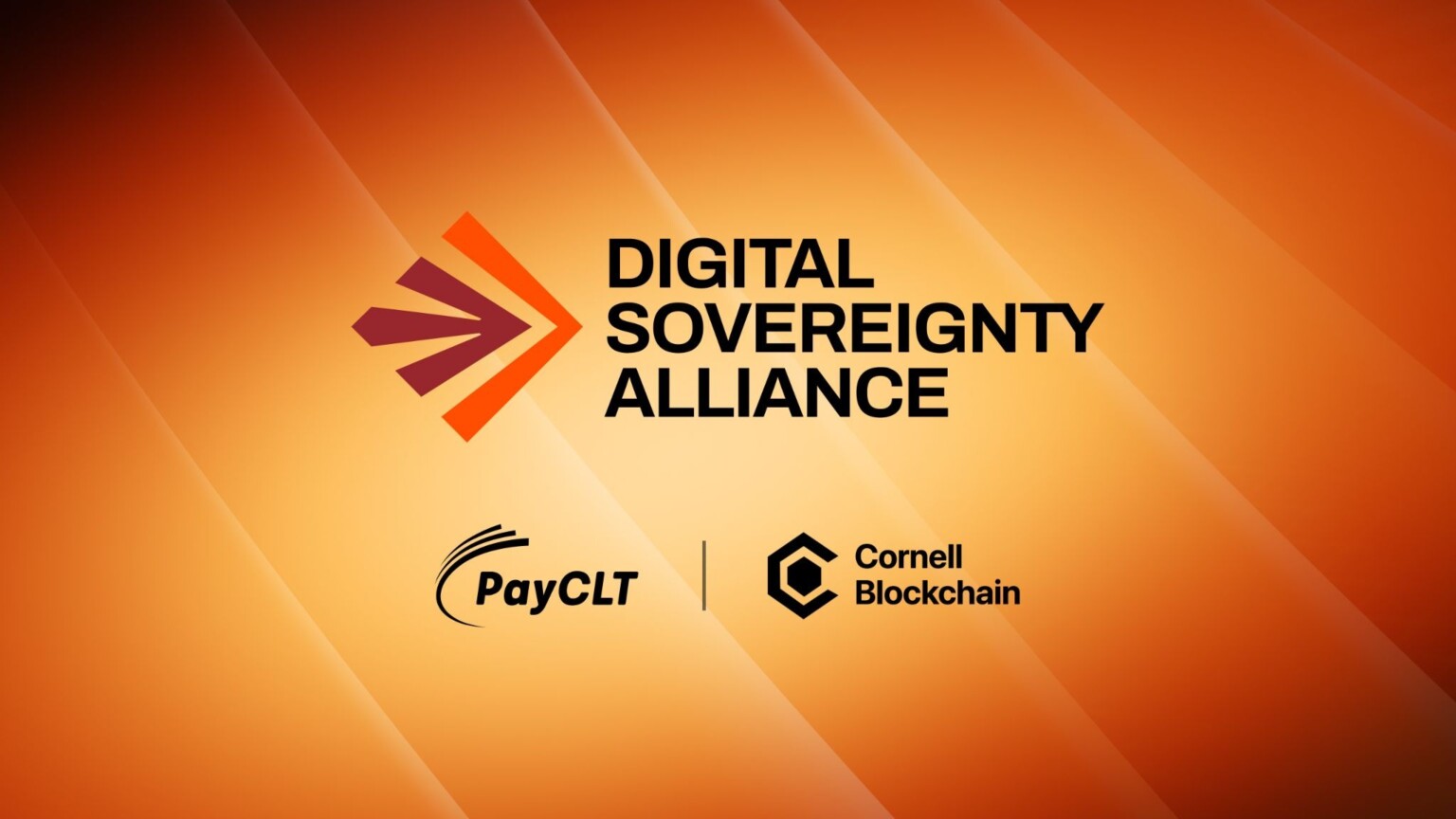 DSA Addresses the Future of Payments at PayCLT Webinar and AI ...