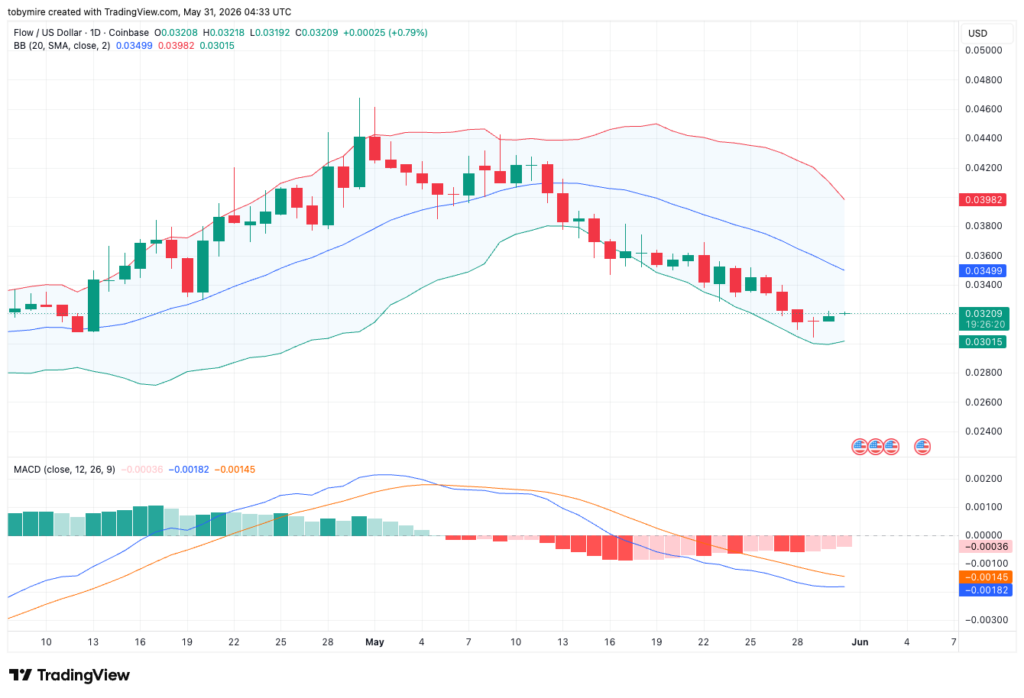 Flow coin price prediction 2026, 2027, 2028-2031